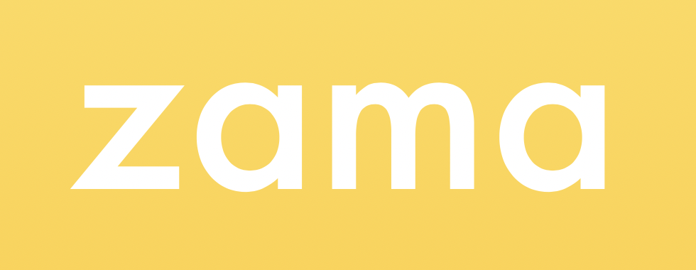 TFHE Fast Fully Homomorphic Encryption over the Torus